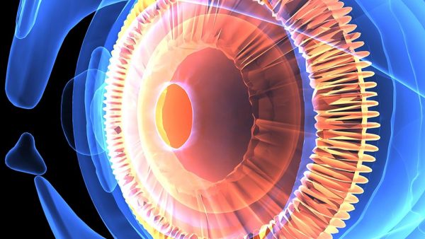 Hazardous Materials and Chemical Eye Injuries in the Workplace - CanQualify